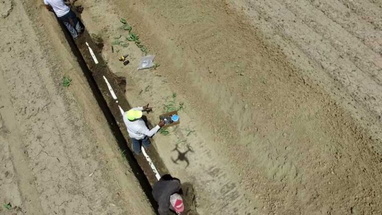 Western Irrigation | Professional Irrigation Services | NE