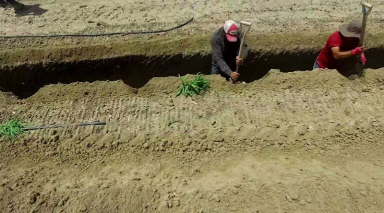 Western Irrigation | Professional Irrigation Services | NE