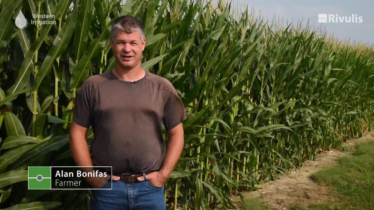 Subsurface Drip Irrigation Benefits - Western Irrigation | Professional ...